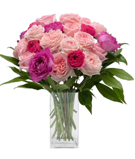Pink Garden Rose Bouquet | Calyx Flowers