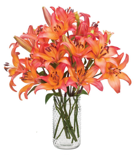 Sunset Lilies - Calyx Flowers, Inc