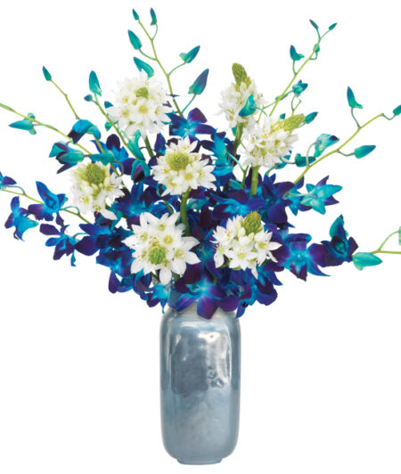 Midnight Orchids & Stars Bouquet - Calyx Flowers, Inc
