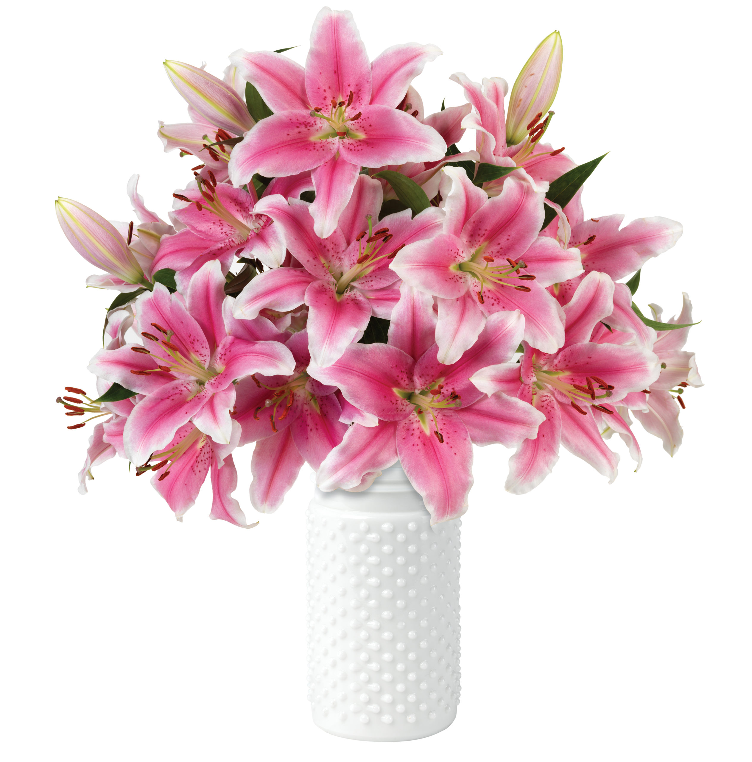 Pink Sorbonne Lilies - Calyx Flowers, Inc