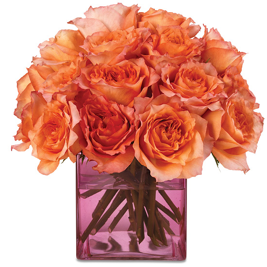 Free Spirit Rose Bouquet - Calyx Flowers, Inc