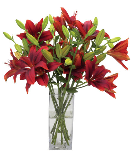 The Year of Lilies - Calyx Flowers, Inc