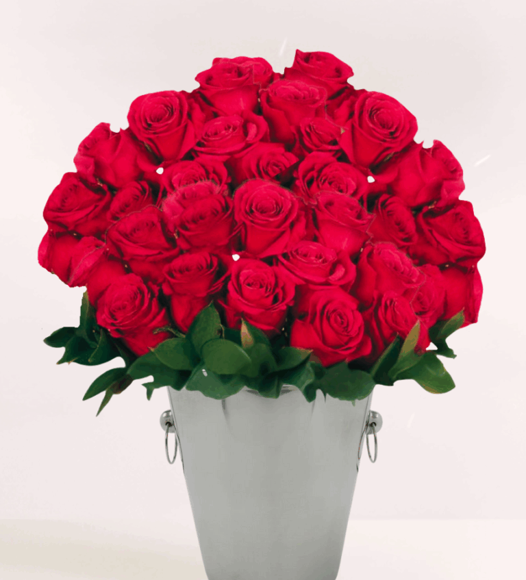 50 Red Roses Bouquet - Long Stem Roses | Calyx Flowers