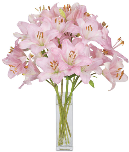 The Year of Lilies - Calyx Flowers, Inc