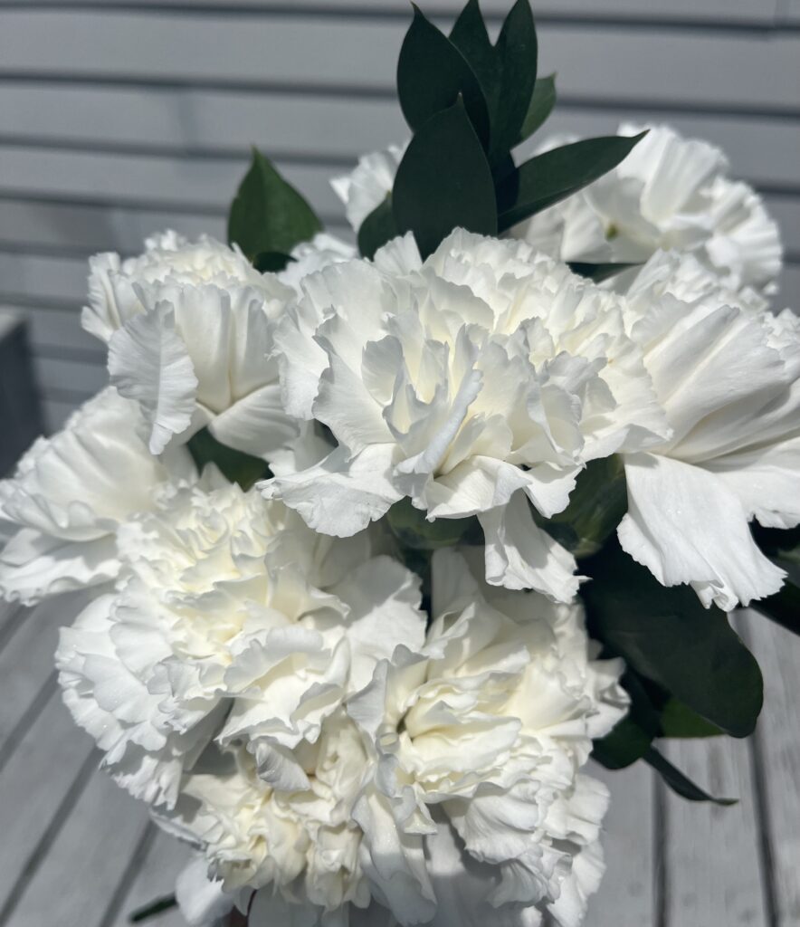 Glowing White Carnations - Calyx Flowers, Inc