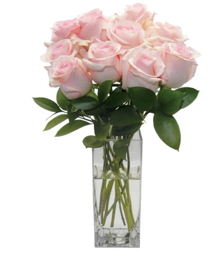 Monthly Roses | Flower Subscription Service | Calyx Flowers