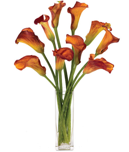 The Year of Lilies - Calyx Flowers, Inc
