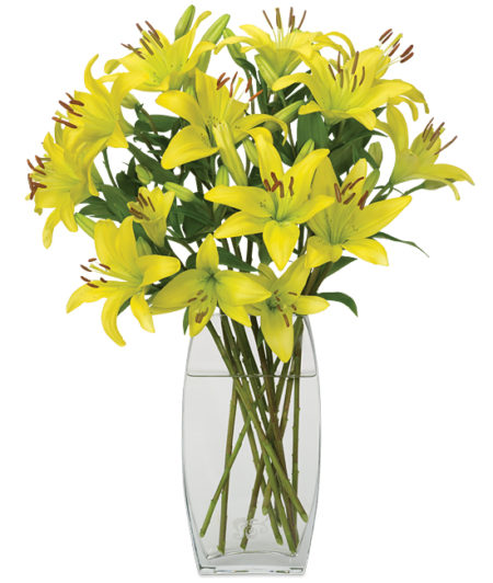 The Year of Lilies - Calyx Flowers, Inc