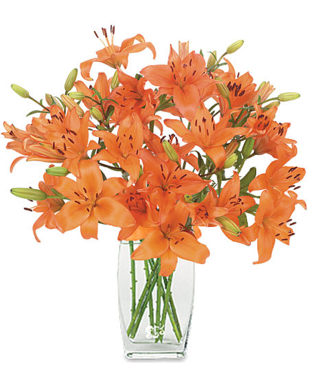 The Ultimate Year of Lilies - Calyx Flowers, Inc