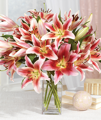 The Ultimate Year of Lilies - Calyx Flowers, Inc