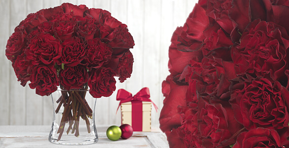 Order Flowers | Send Flowers, Plants & Gifts | Flowers Online | Calyx ...